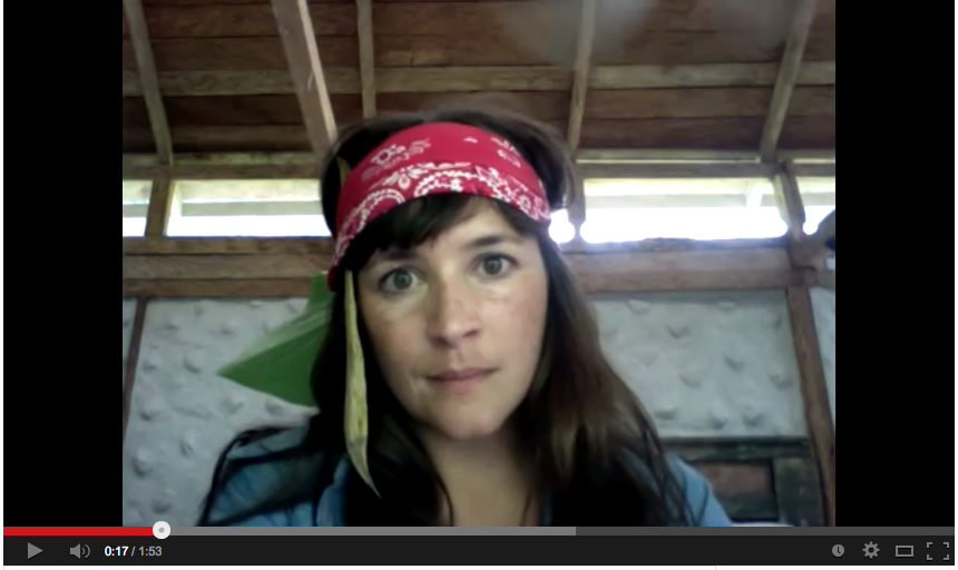 Rogue Reporting – The Berry & The Fox